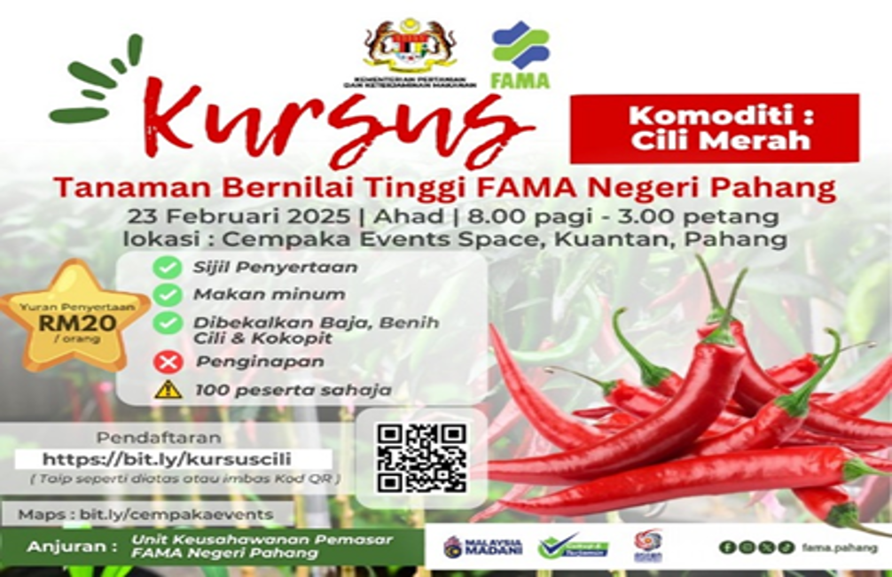 Cultivating the Future: Students Master High-Value Chili Farming ...