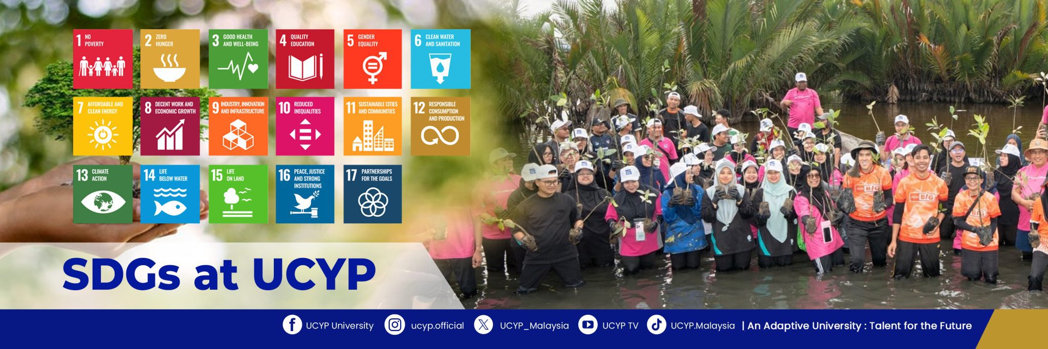 Sustainability - UCYP UNIVERSITY